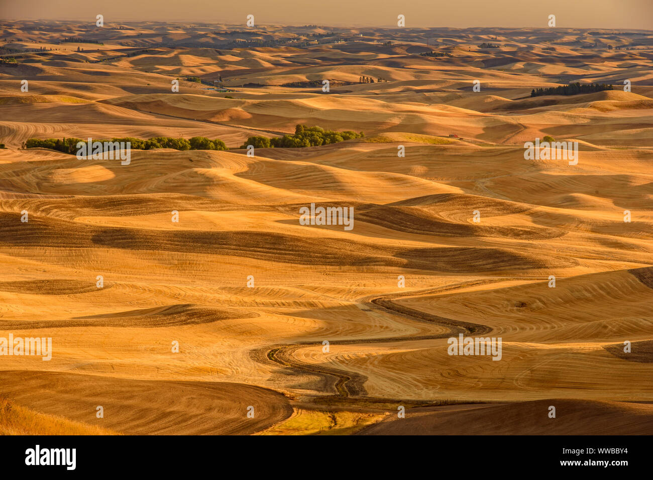 Palouse landscape in late summer from a high viewpoint, Steptoe Butte ...