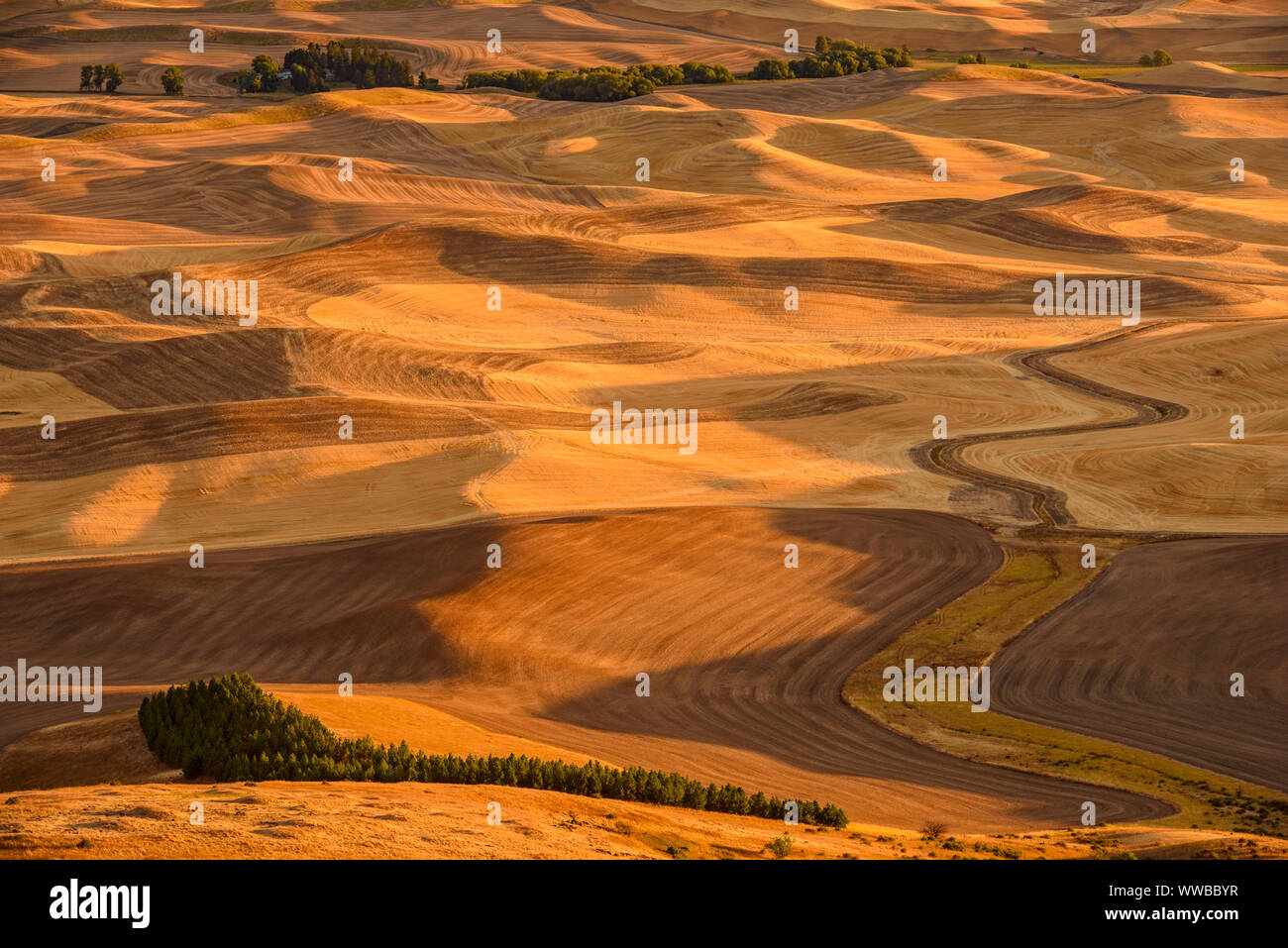 Palouse landscape in late summer from a high viewpoint, Steptoe Butte ...