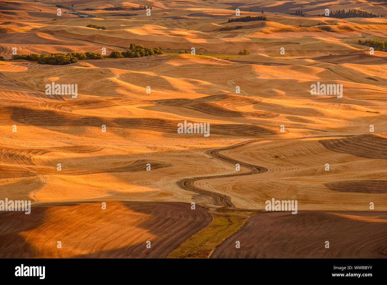 Palouse landscape in late summer from a high viewpoint, Steptoe Butte ...