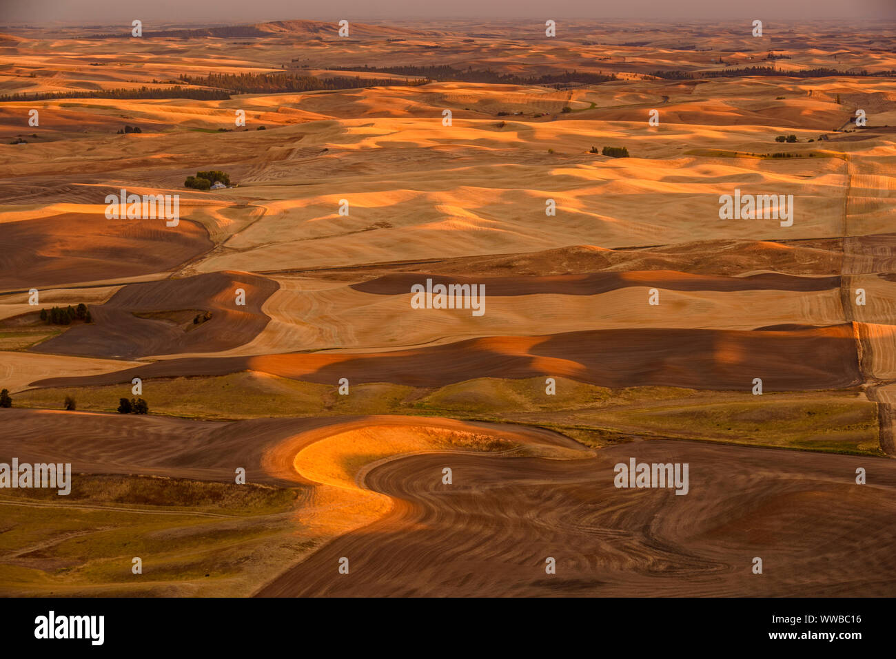 Palouse landscape in late summer from a high viewpoint, Steptoe Butte ...