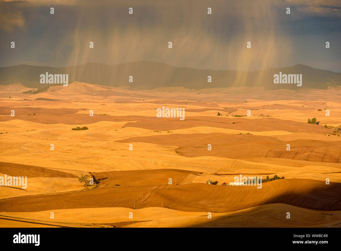 Palouse landscape in late summer from a high viewpoint, Steptoe Butte ...