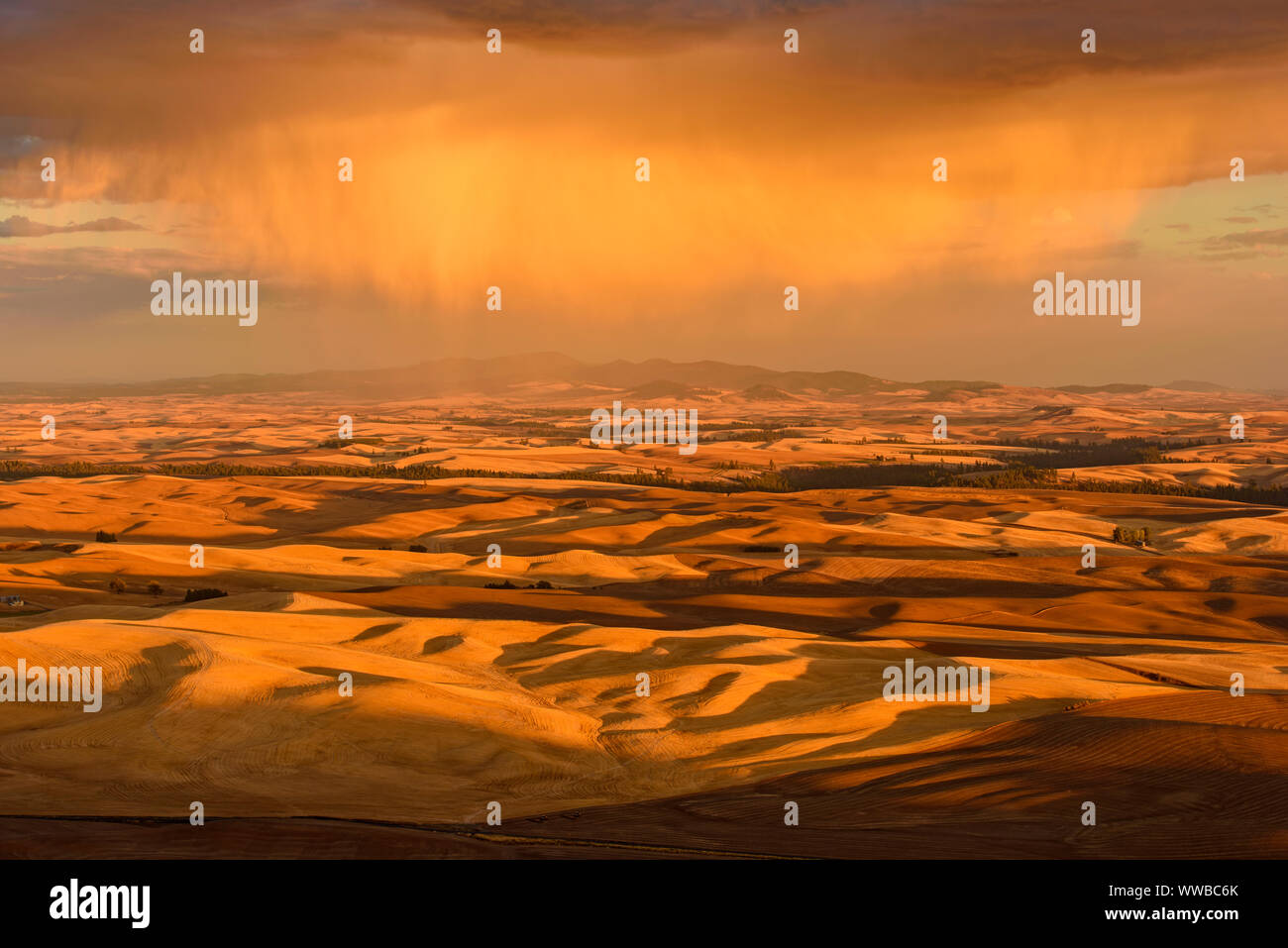 Palouse landscape in late summer from a high viewpoint, Steptoe Butte ...