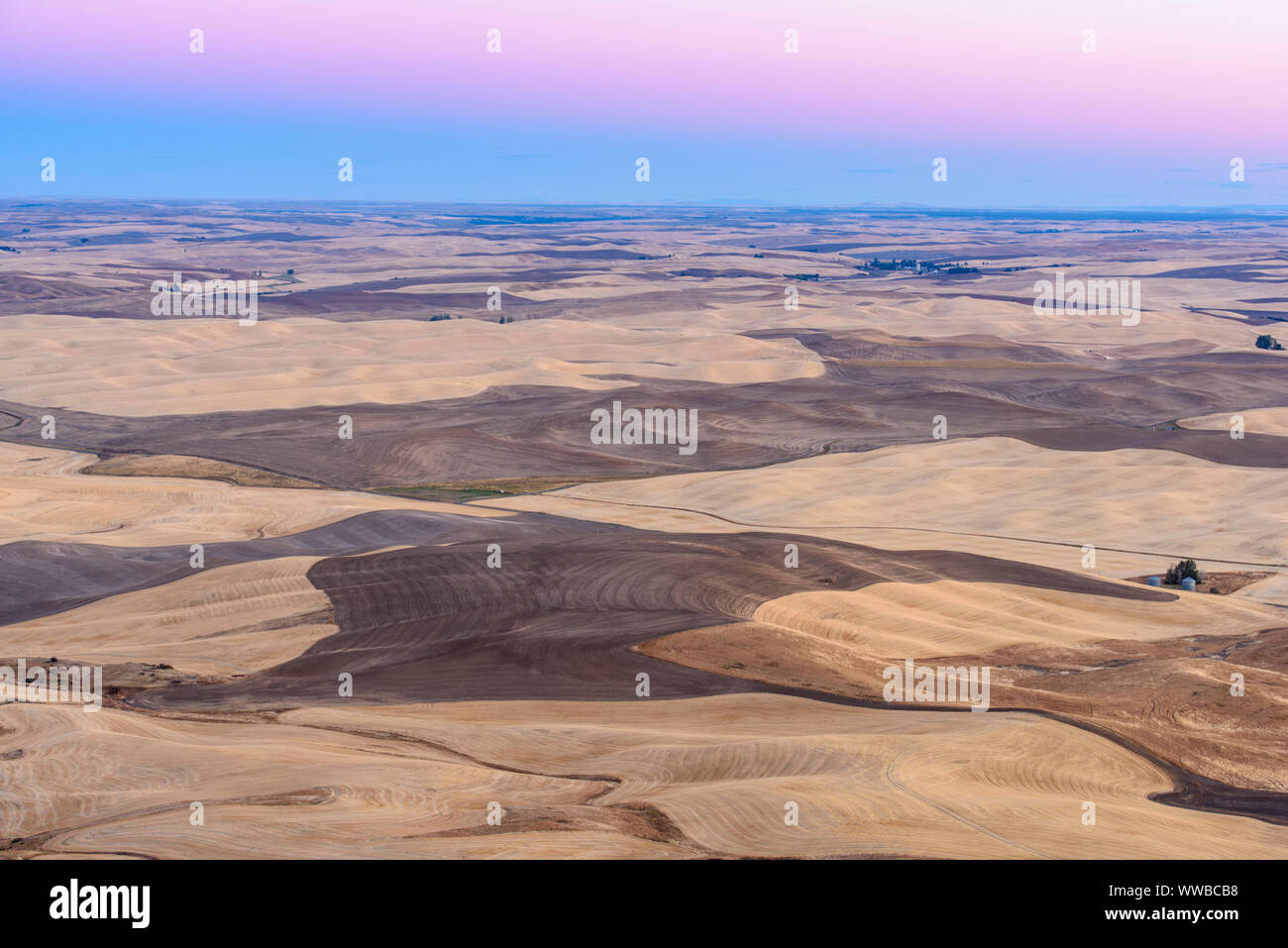 Mowing and harvest patterns in the Palouse landscape at dawn in late ...