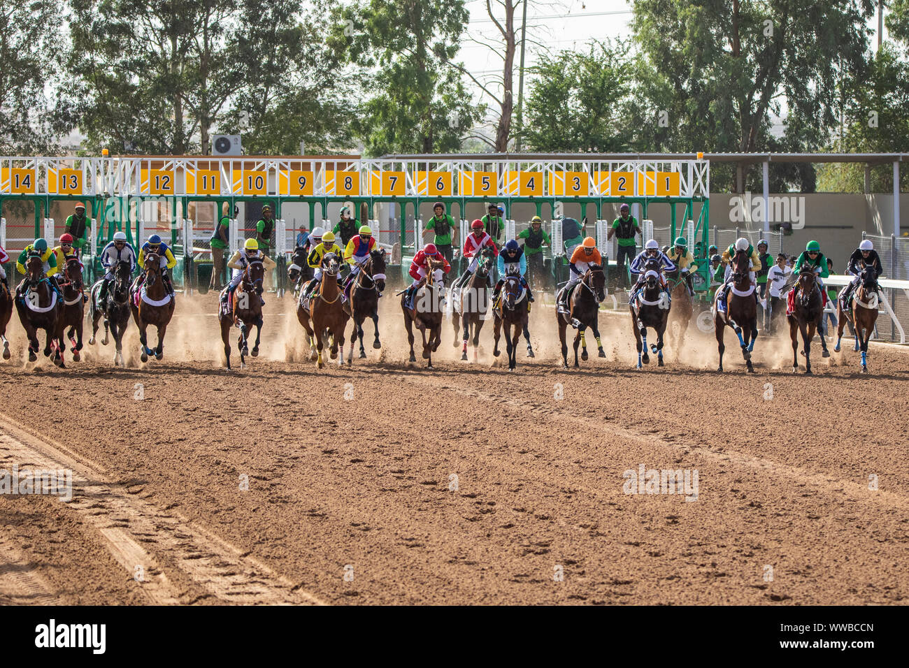 Horse Racing at King Khalid Racetrack, Taif, Saudi Arabia 22/06/2019 ...