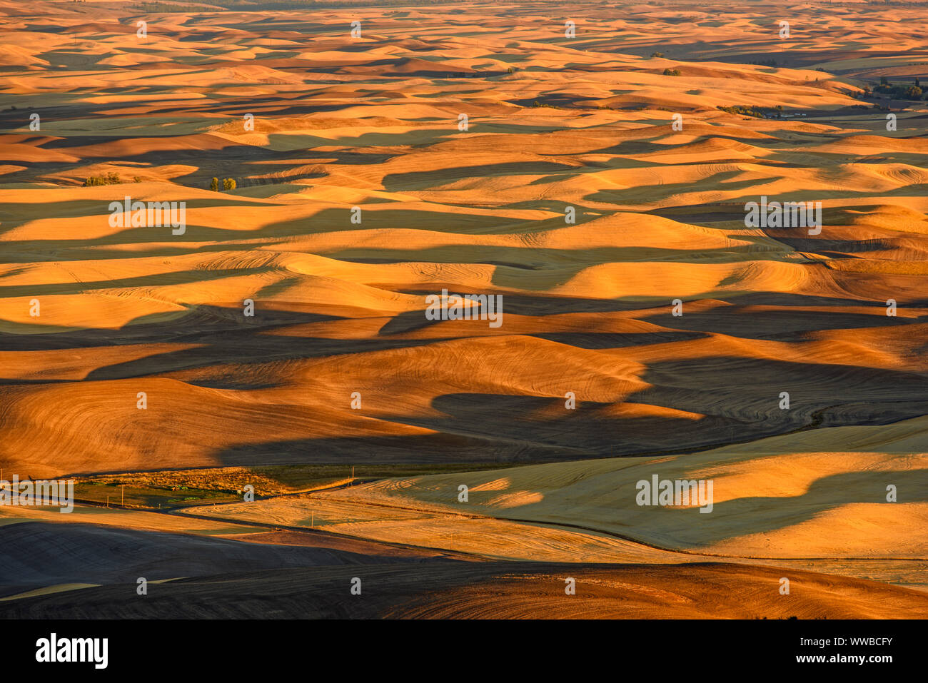 Mowing and harvest patterns in the Palouse landscape at dawn in late ...
