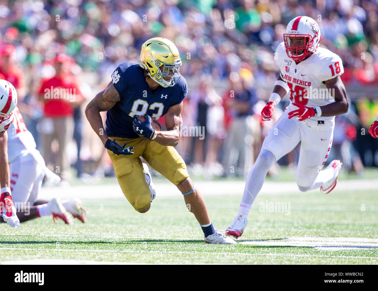 John claypool hi-res stock photography and images - Alamy