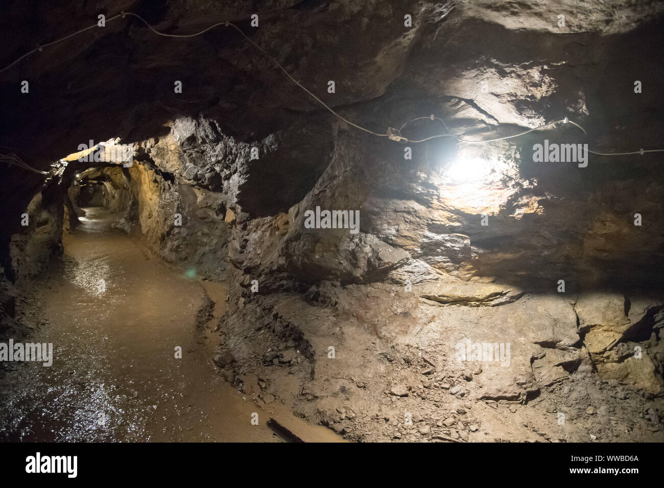 Riese organisation hi-res stock photography and images - Alamy