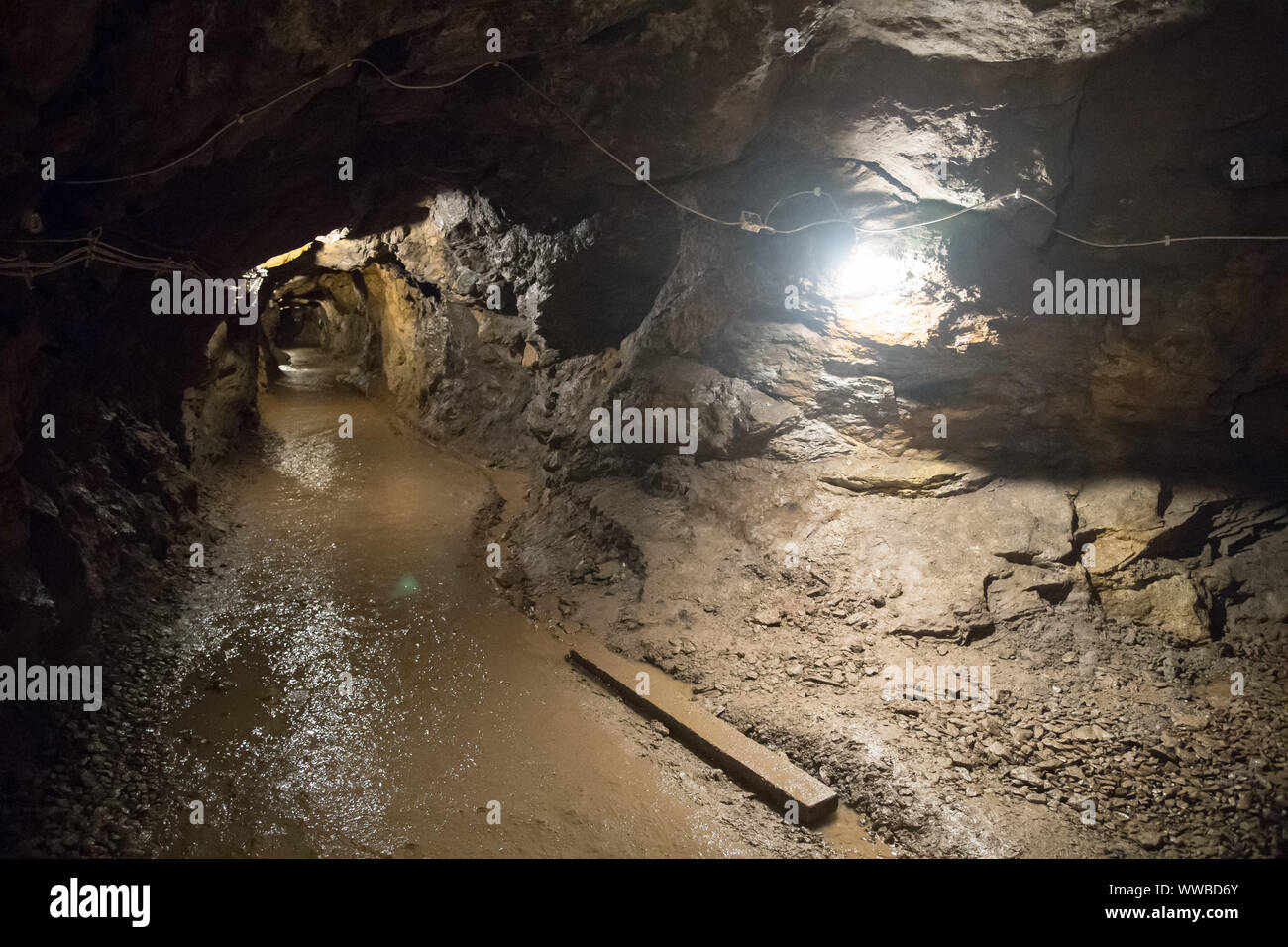 The facility as museum started hi-res stock photography and images - Alamy