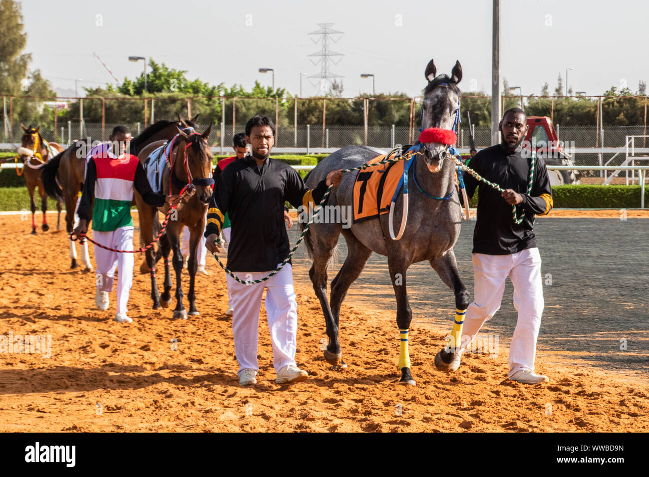 Horse Racing at King Khalid Racetrack, Taif, Saudi Arabia 22/06/2019 ...