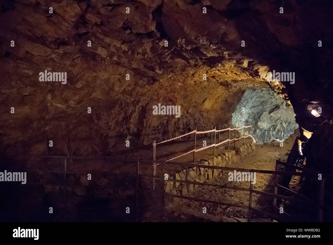 Small shaft connecting lower and upper part of Complex Wlodarz of ...