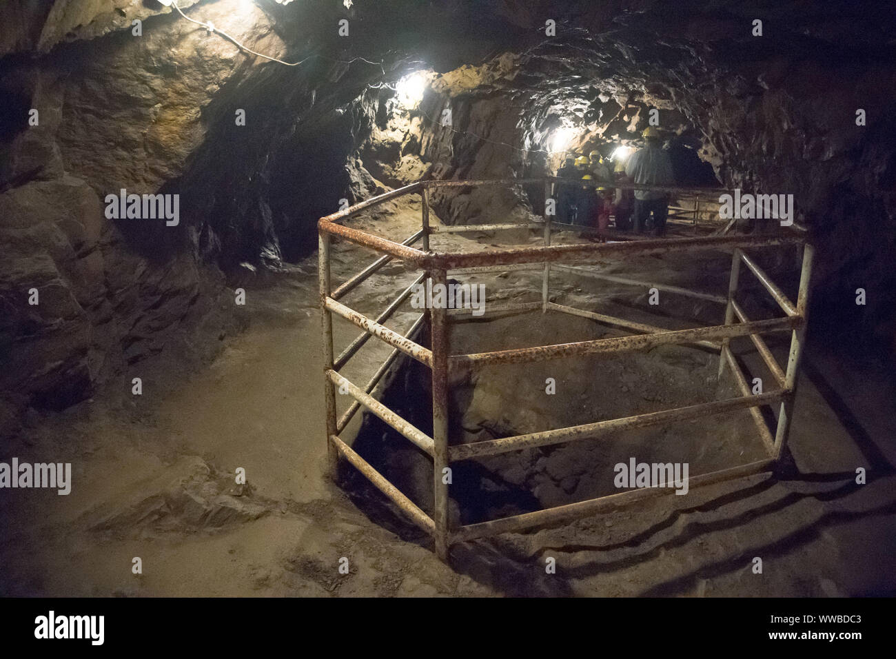 Small shaft connecting lower and upper part of Complex Wlodarz of ...