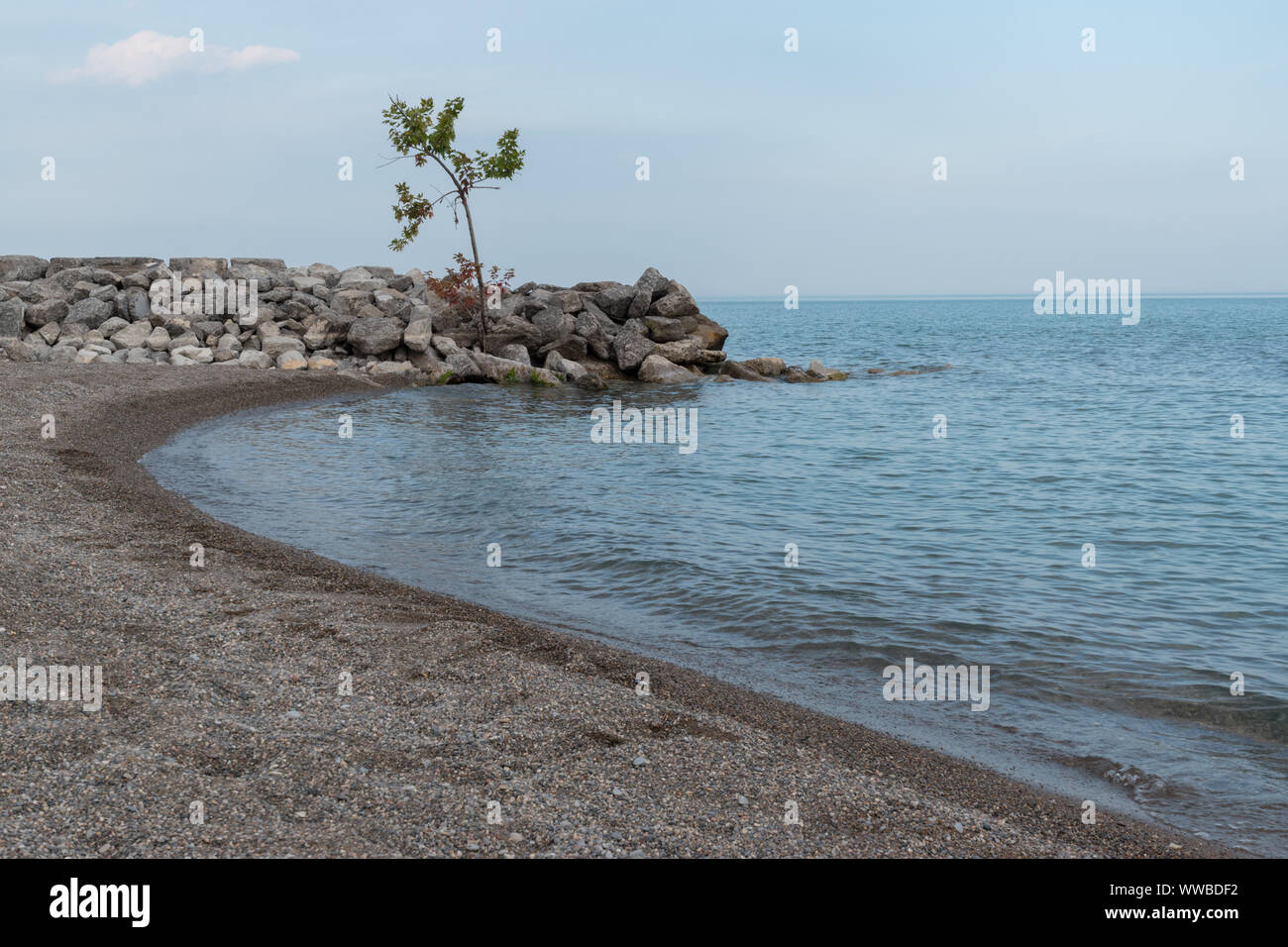 Beach Coast Line With Tree Horizontal Stock Photo - Alamy