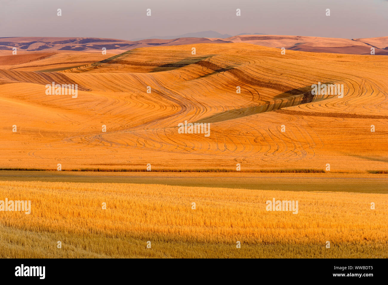 Farmland in late summer, Hwy 272 between Colfax and Palouse, Washington ...