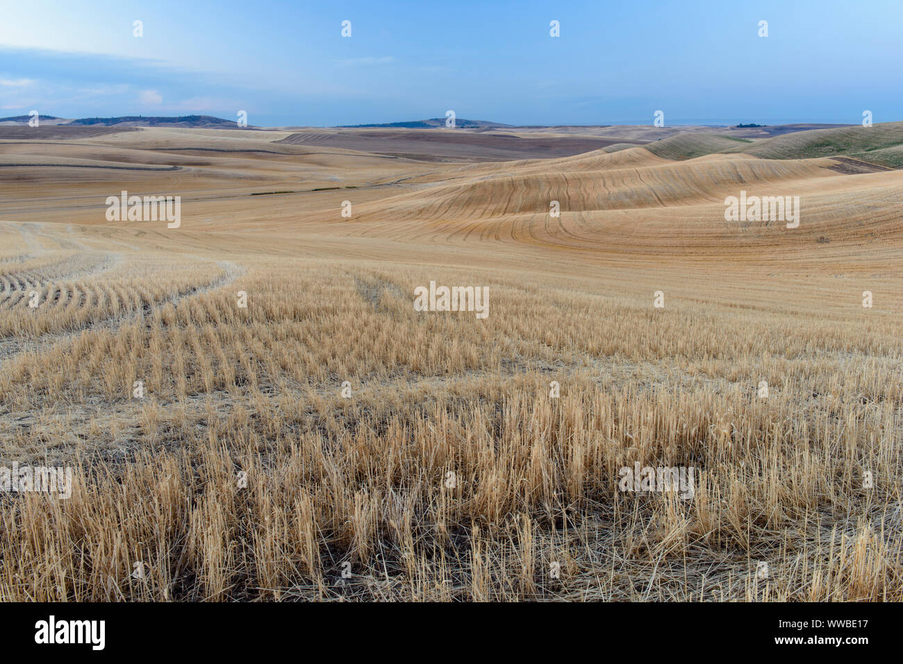 Farmland in late summer, Hwy 272 between Colfax and Palouse, Washington ...