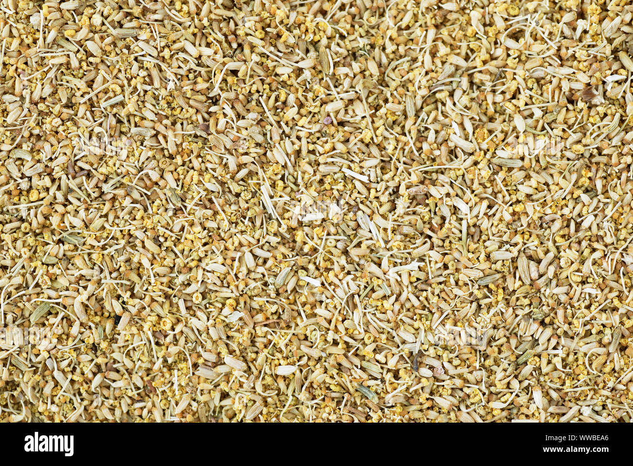 Fresh fennel pollen filling frame for food background Stock Photo - Alamy