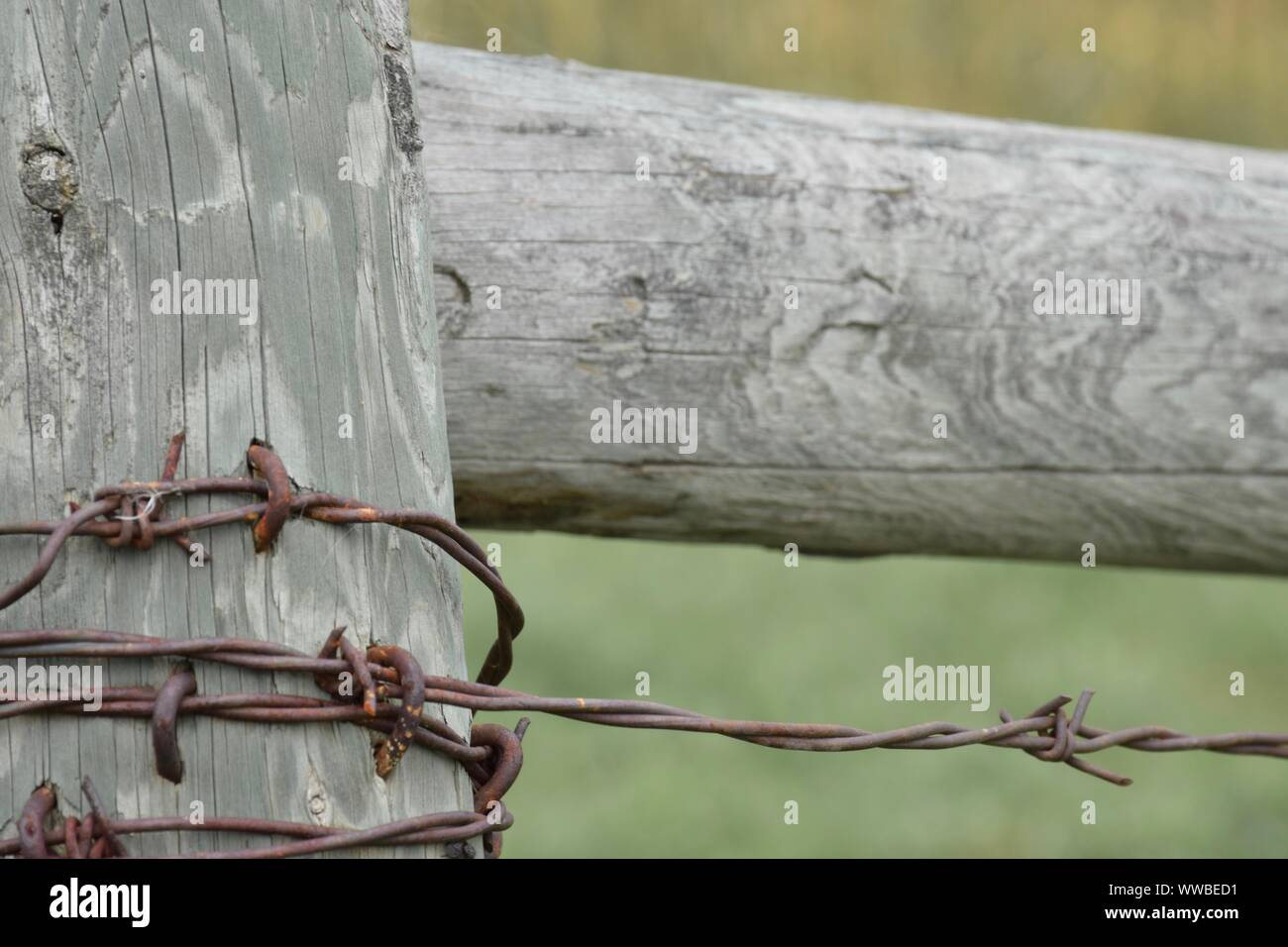 Fence Post in Field with Barbed Wire Stock Photo - Alamy