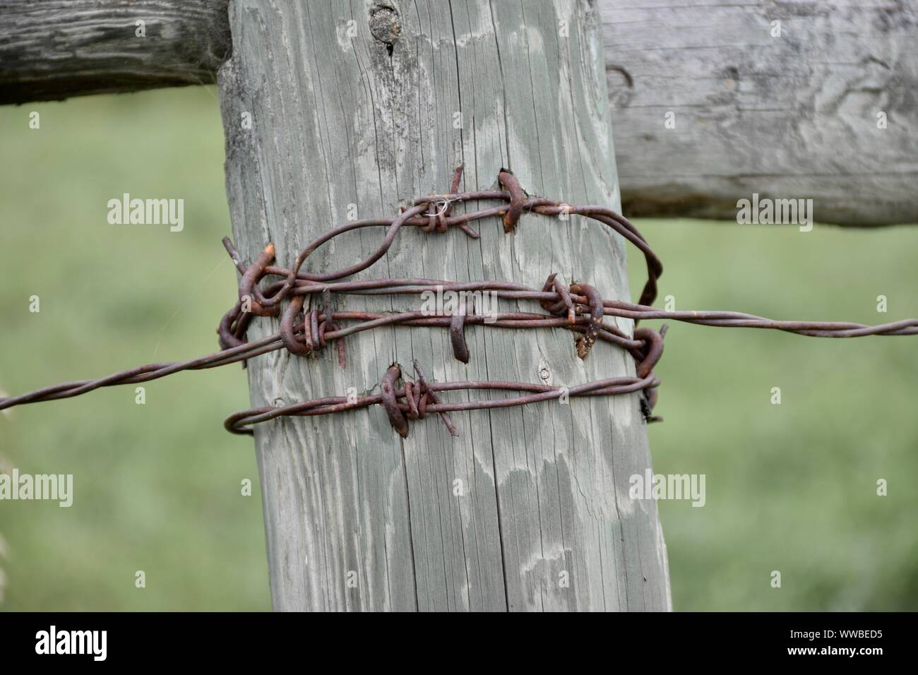 Fence Post in Field with Barbed Wire Stock Photo - Alamy