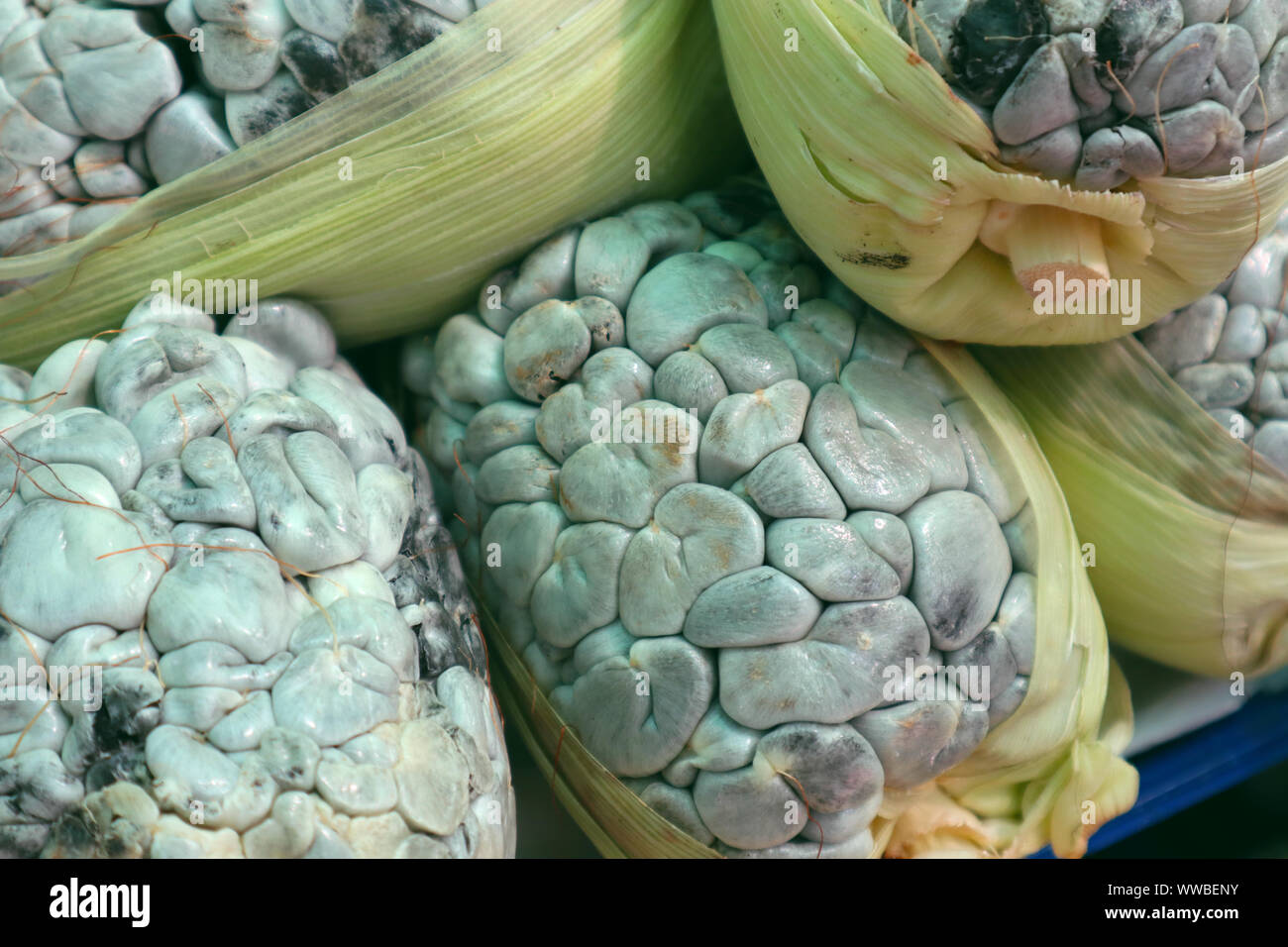 Huitlacoche (Mexican Corn Fungus) at Market Stock Photo - Alamy