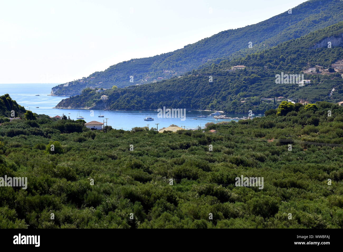 Forest and sea view hi-res stock photography and images - Alamy