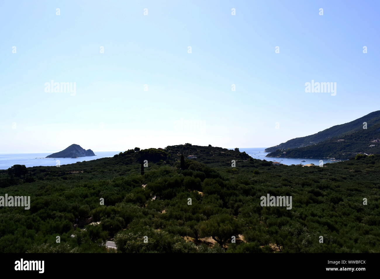 forest, sea-view, landscape, Zakynthos, island, Greece Stock Photo - Alamy