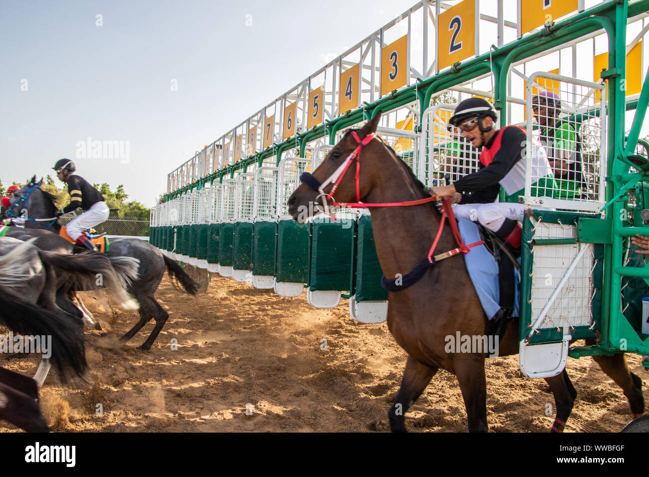 Horse Racing at King Khalid Racetrack, Taif, Saudi Arabia 22/06/2019 ...