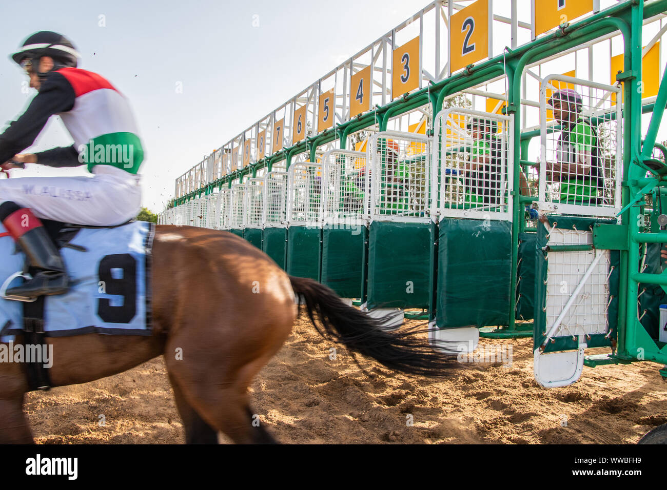 Horse Racing at King Khalid Racetrack, Taif, Saudi Arabia 22/06/2019 ...