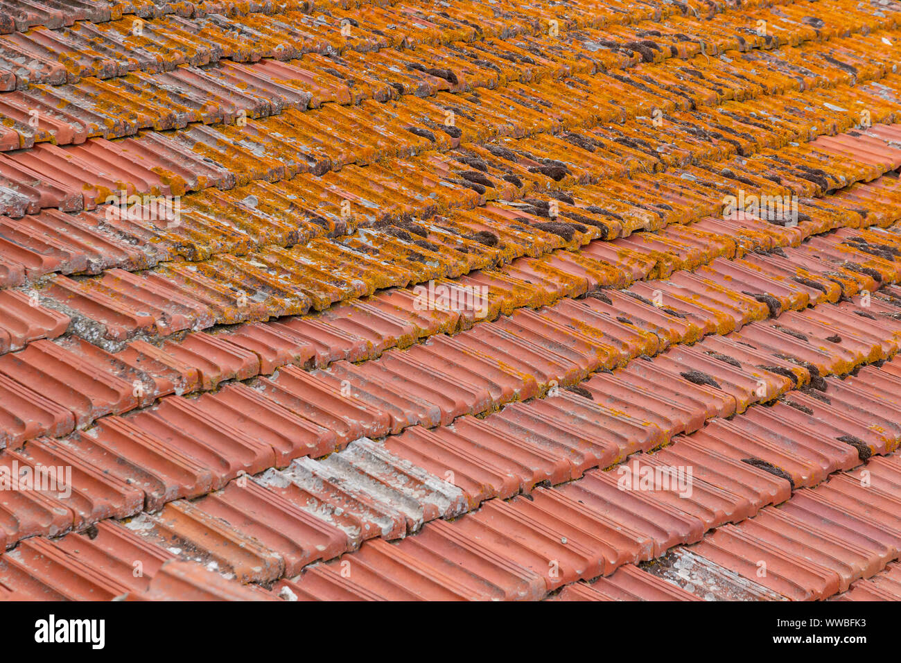 Terracotta roof tiles italy hi-res stock photography and images - Alamy