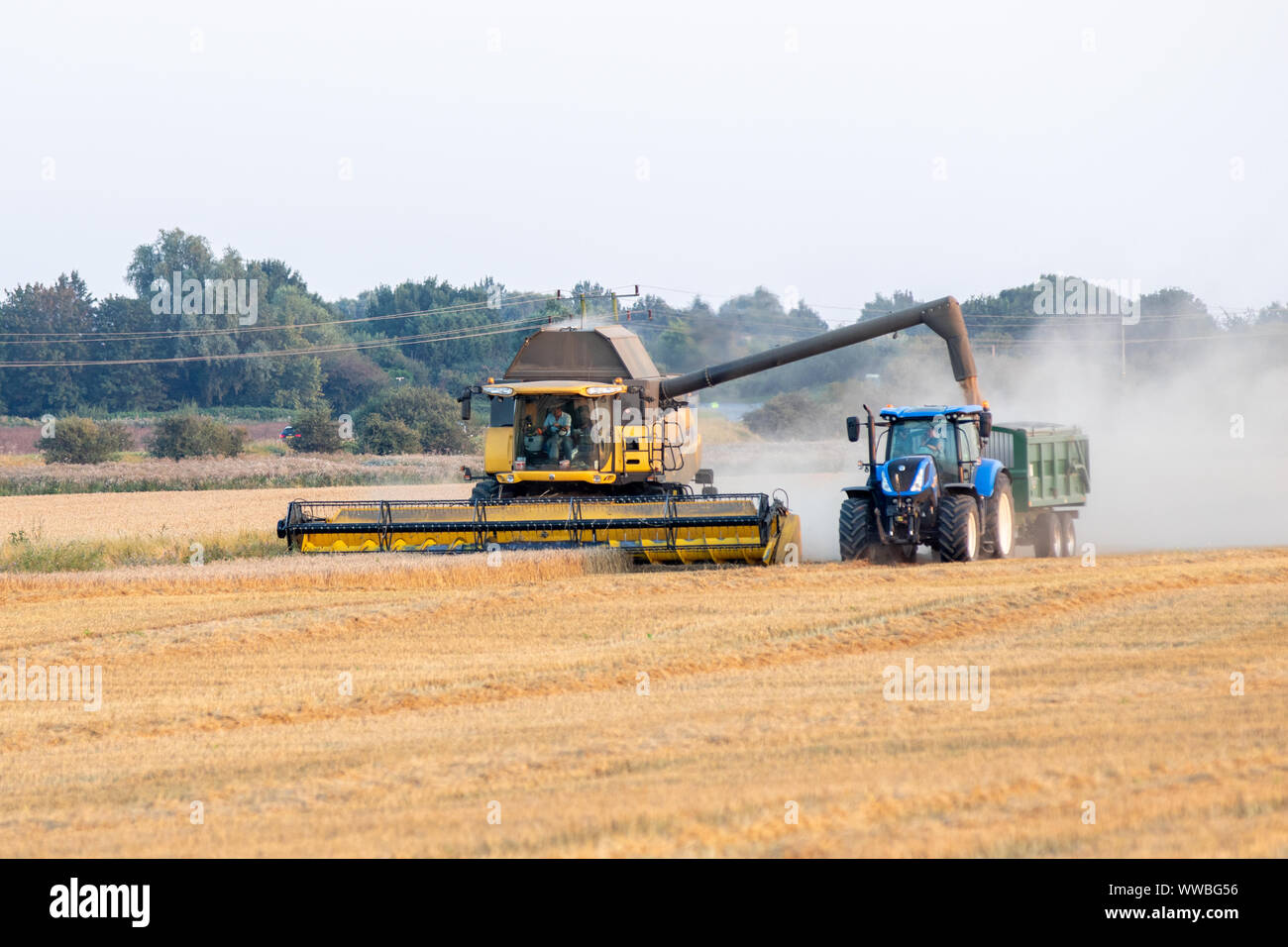 Combine Harvester at Work, Transfering Grain to Tractor and Trailer ...