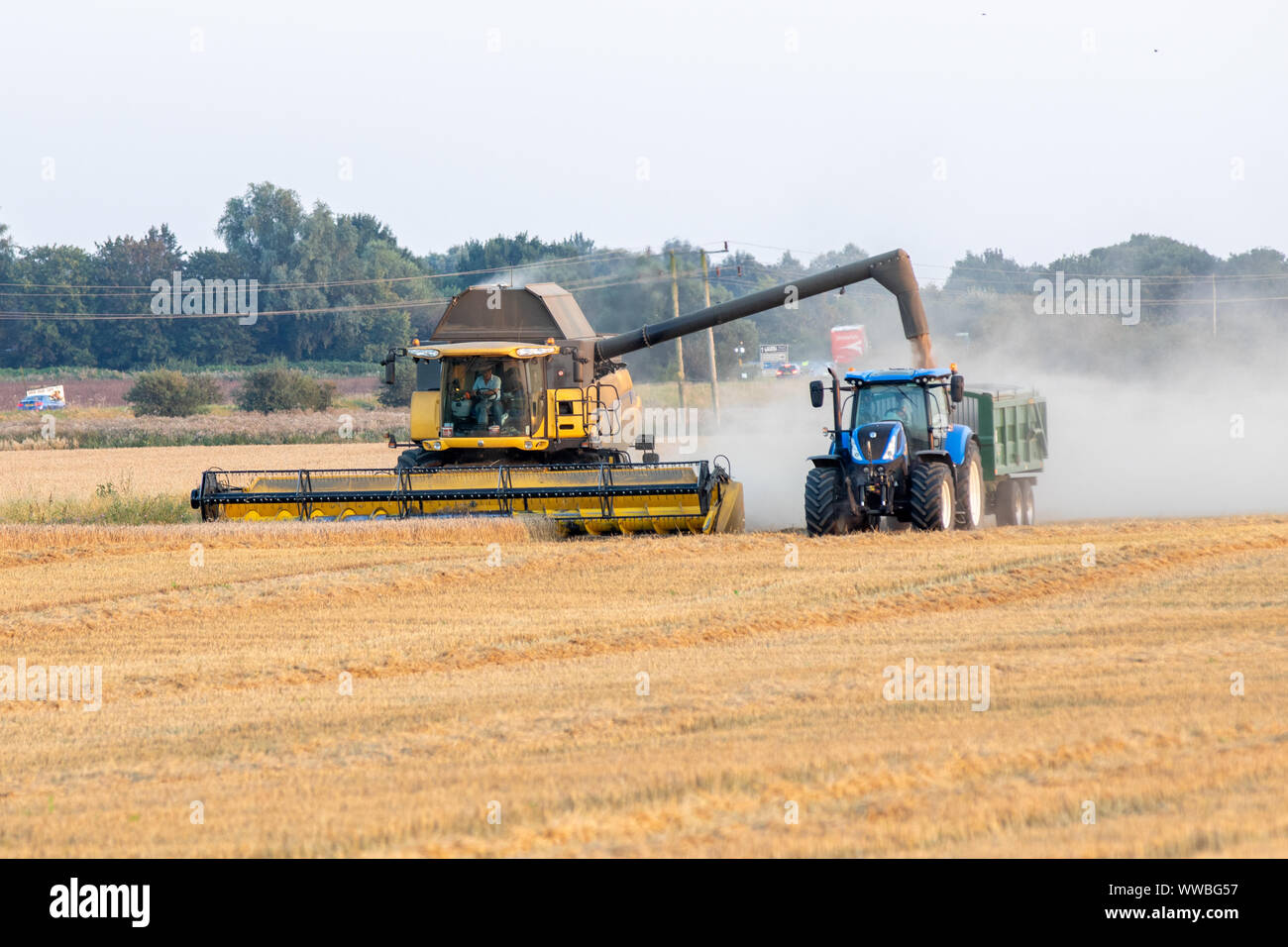 Combine Harvester at Work, Transfering Grain to Tractor and Trailer ...