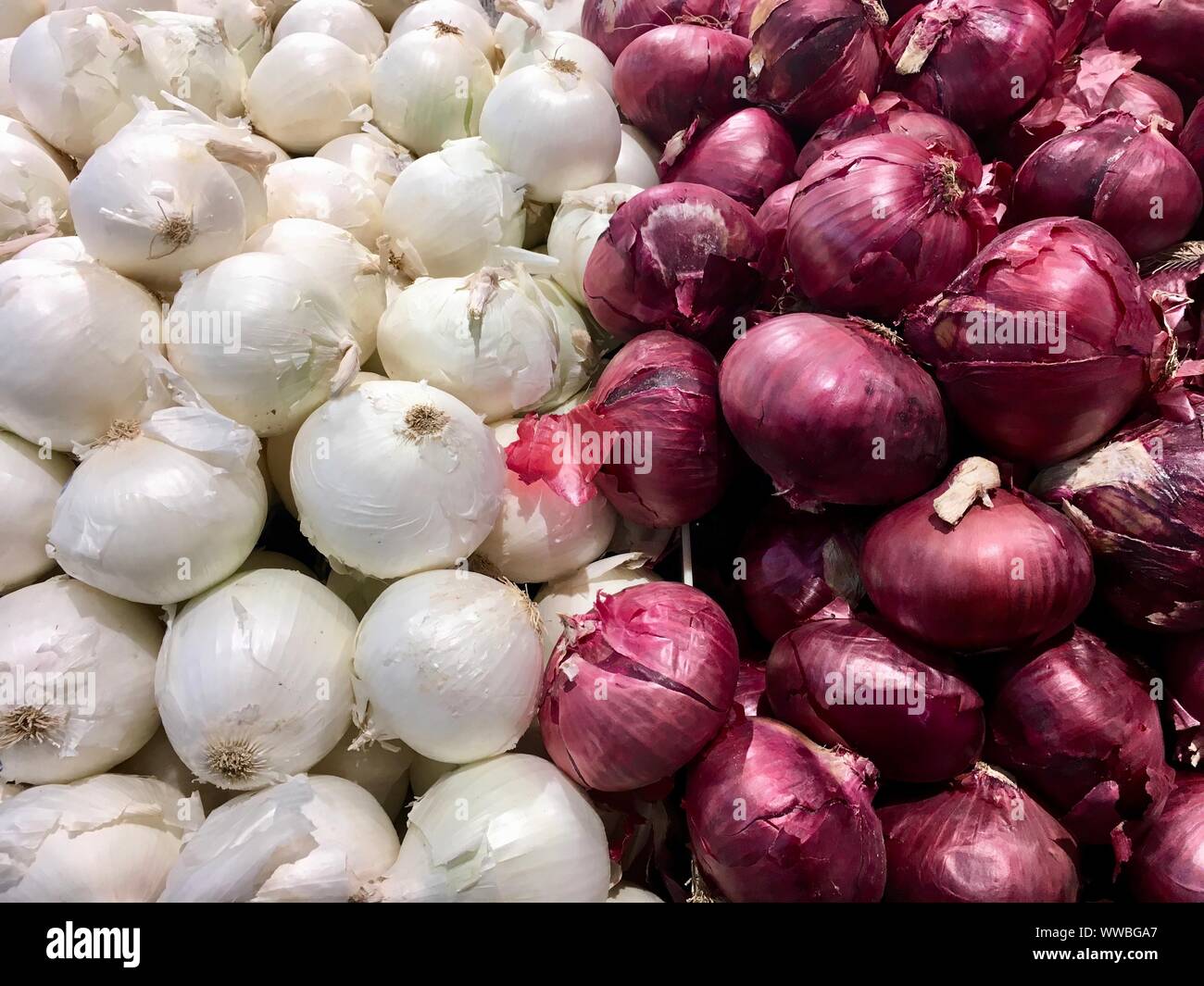 white and red onions on display at a market Stock Photo - Alamy