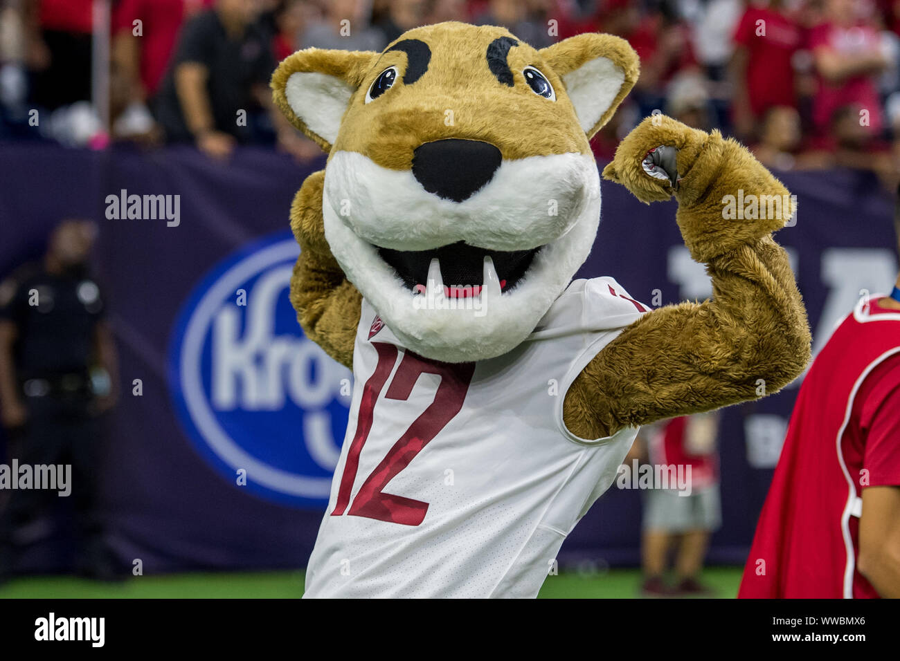 Cougar Football Mascot