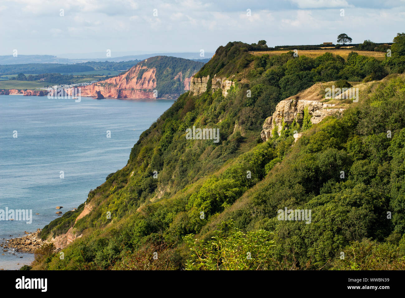 High dunscombe cliff hi-res stock photography and images - Alamy