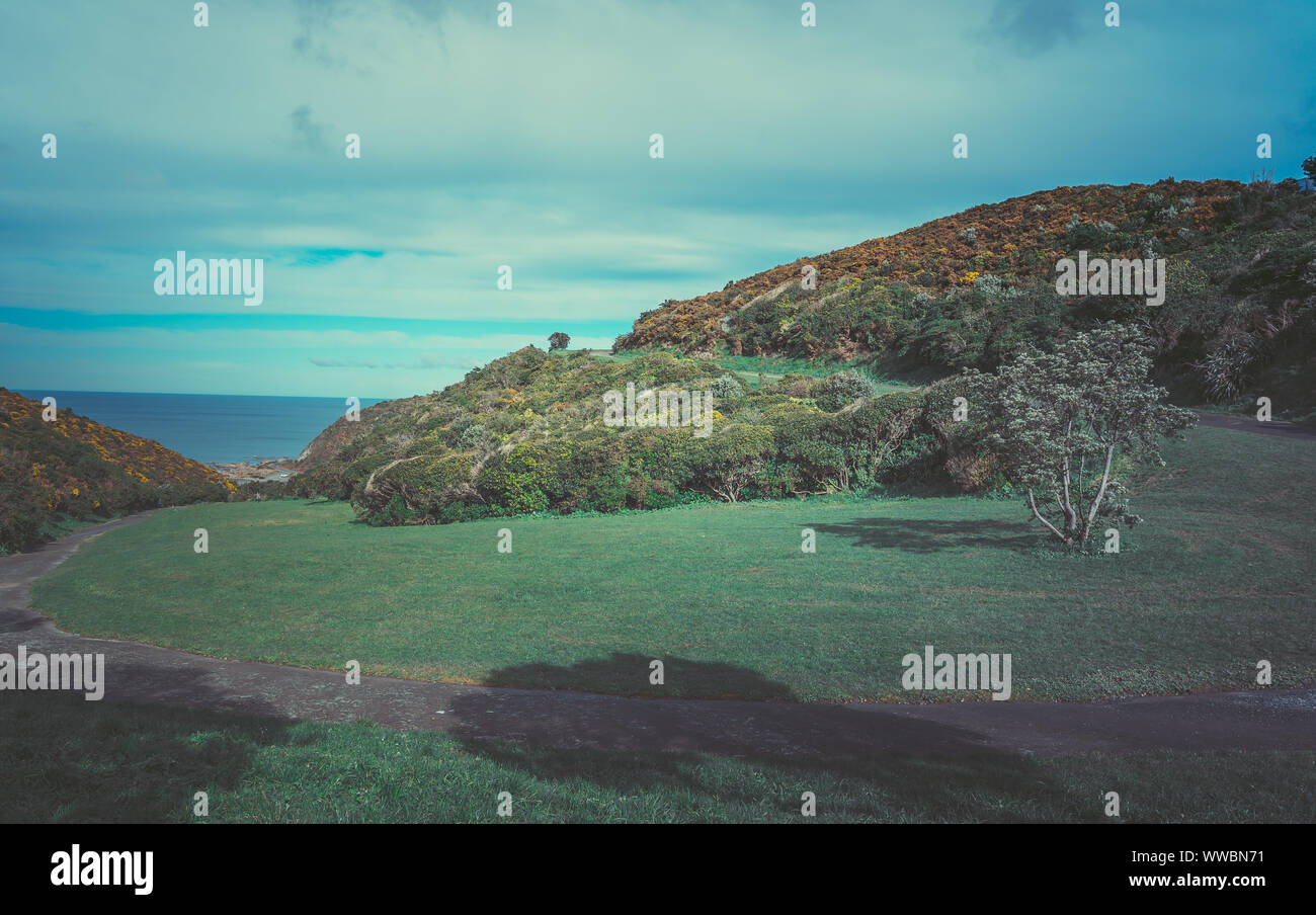 Wellington, New Zealand Nature Landscape; vintage style Stock Photo - Alamy