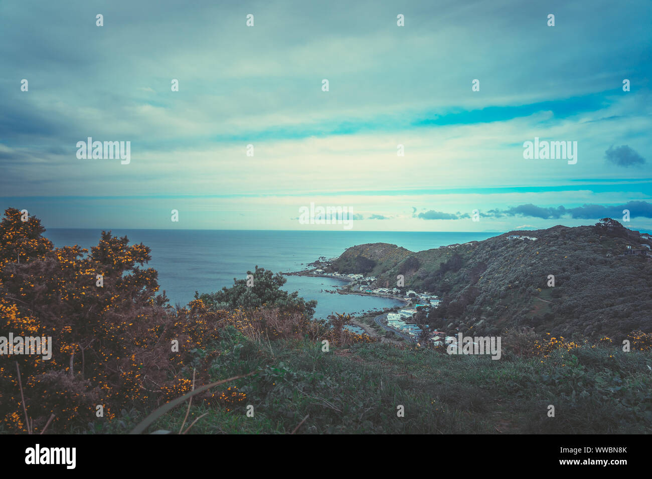 Wellington, New Zealand Nature Landscape; vintage style Stock Photo - Alamy