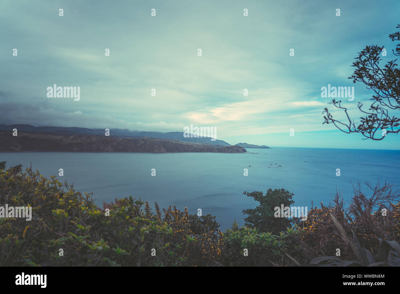 Wellington, New Zealand Nature Landscape; vintage style Stock Photo - Alamy