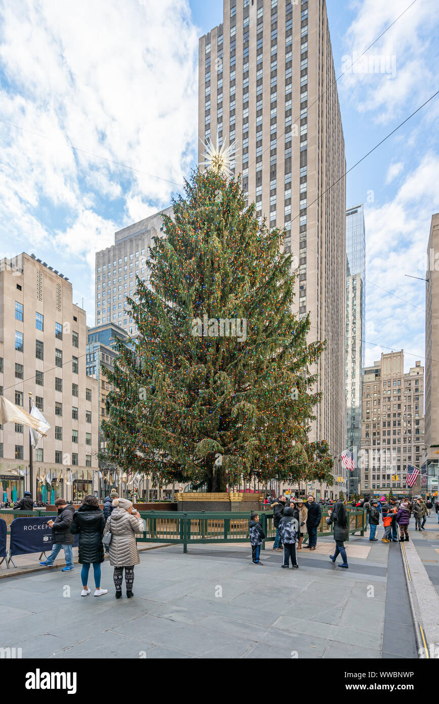 New york city tree hi-res stock photography and images - Alamy