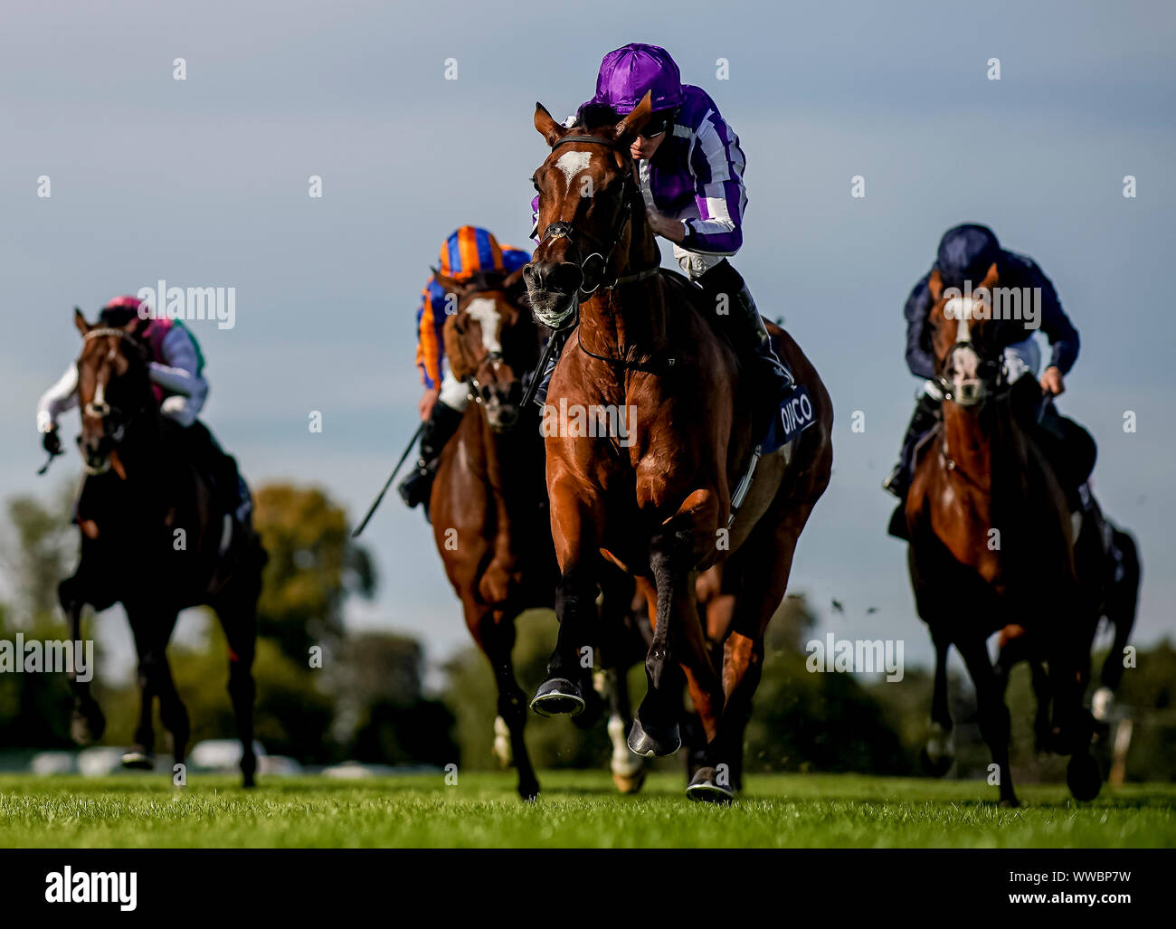 Day one leopardstown racecourse hi-res stock photography and images - Alamy