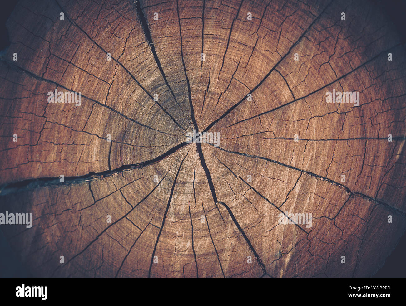Wood patten texture; vintage style Stock Photo - Alamy