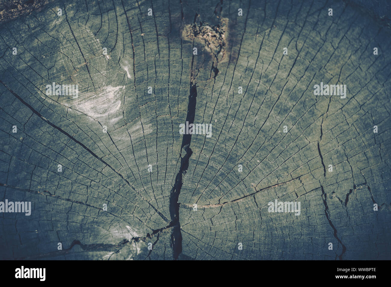 Wood patten texture; vintage style Stock Photo - Alamy
