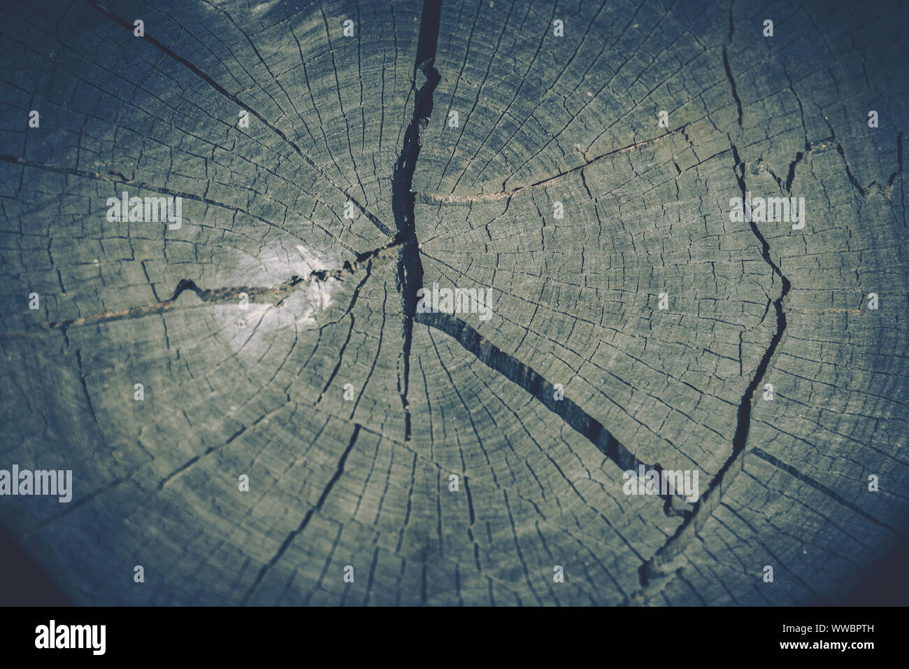 Wood patten texture; vintage style Stock Photo - Alamy