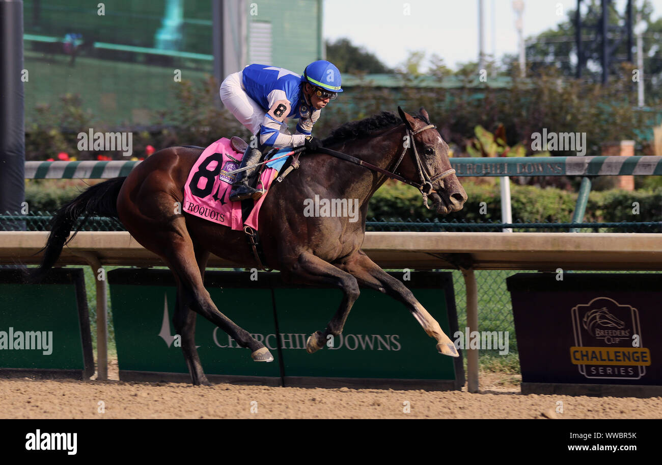 Transplendid hi-res stock photography and images - Alamy