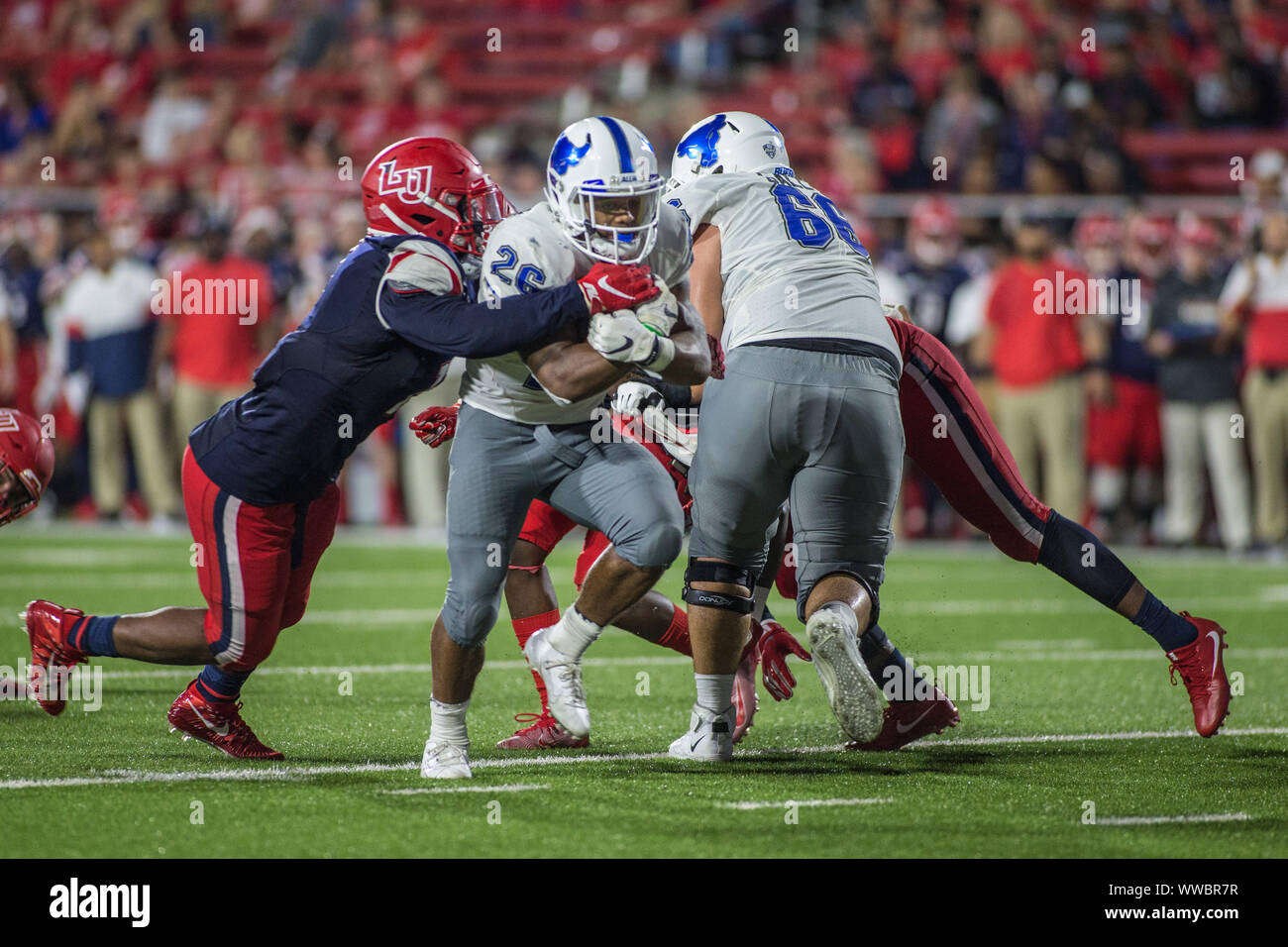 2019 602 jpg hi-res stock photography and images - Alamy