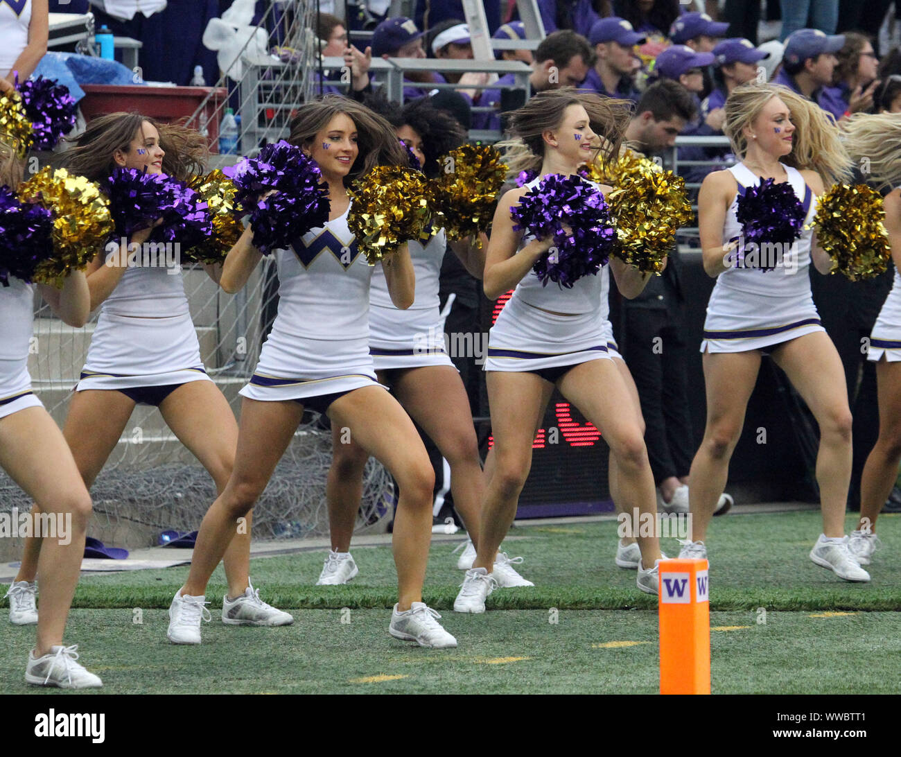 Washington huskies cheerleader hi-res stock photography and images - Alamy