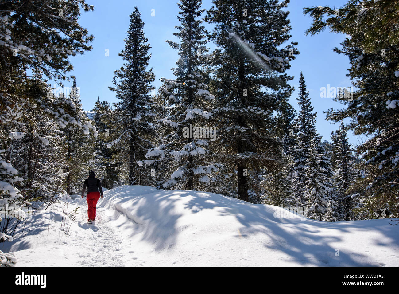 Cherskiy siberia hi-res stock photography and images - Alamy