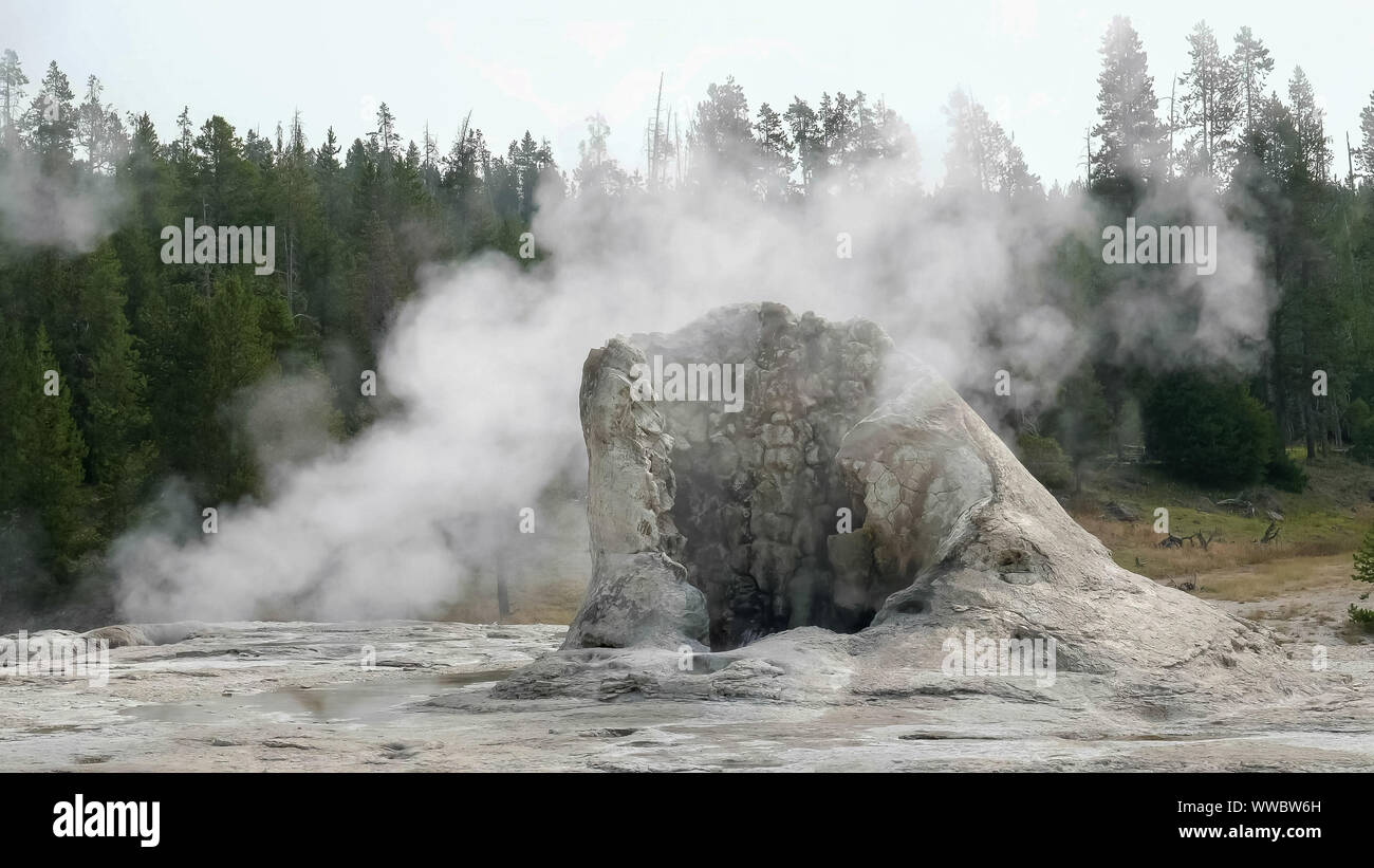 giant geyser in yellowstone national park, united states Stock Photo ...
