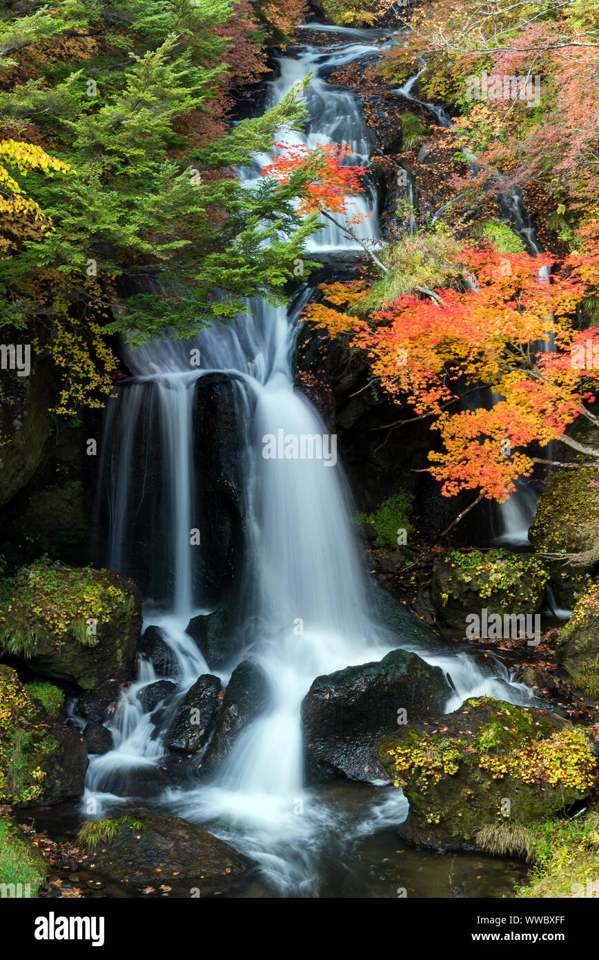 Autumn fall forest at Ryuzu waterfall at Nikko Tochigi Japan Stock ...