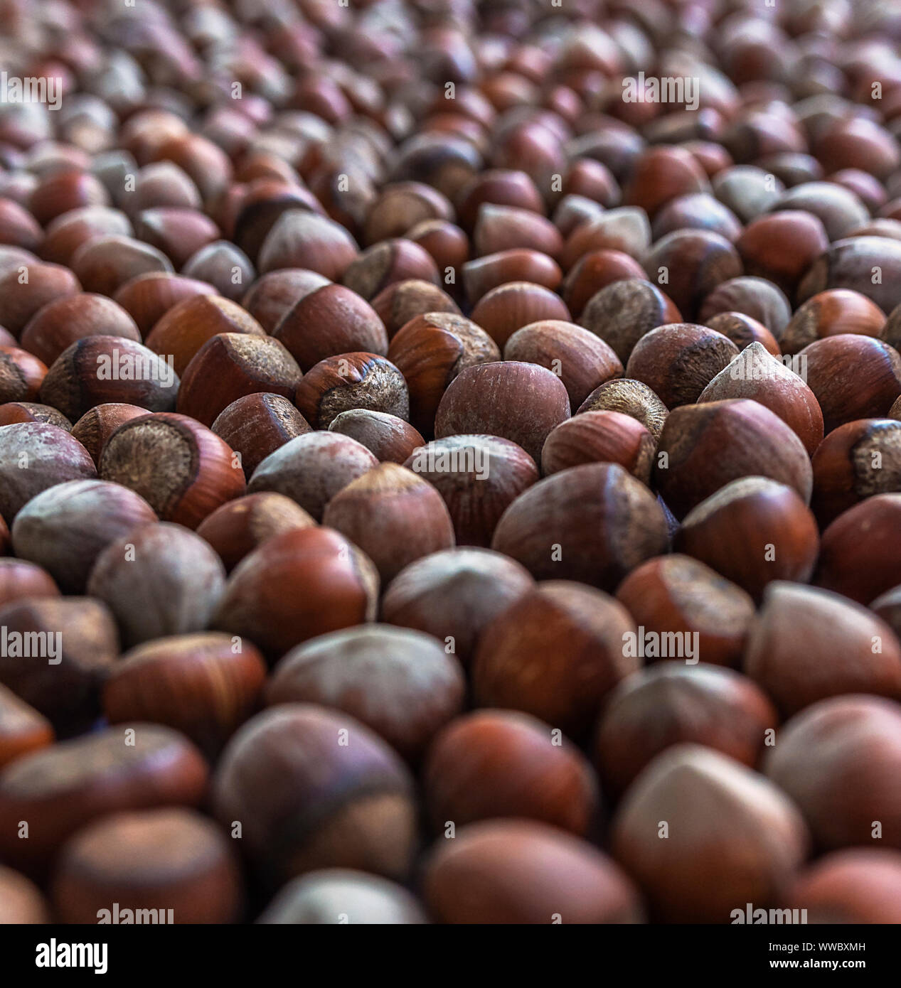 nut spreading, ventilation and drying Stock Photo - Alamy