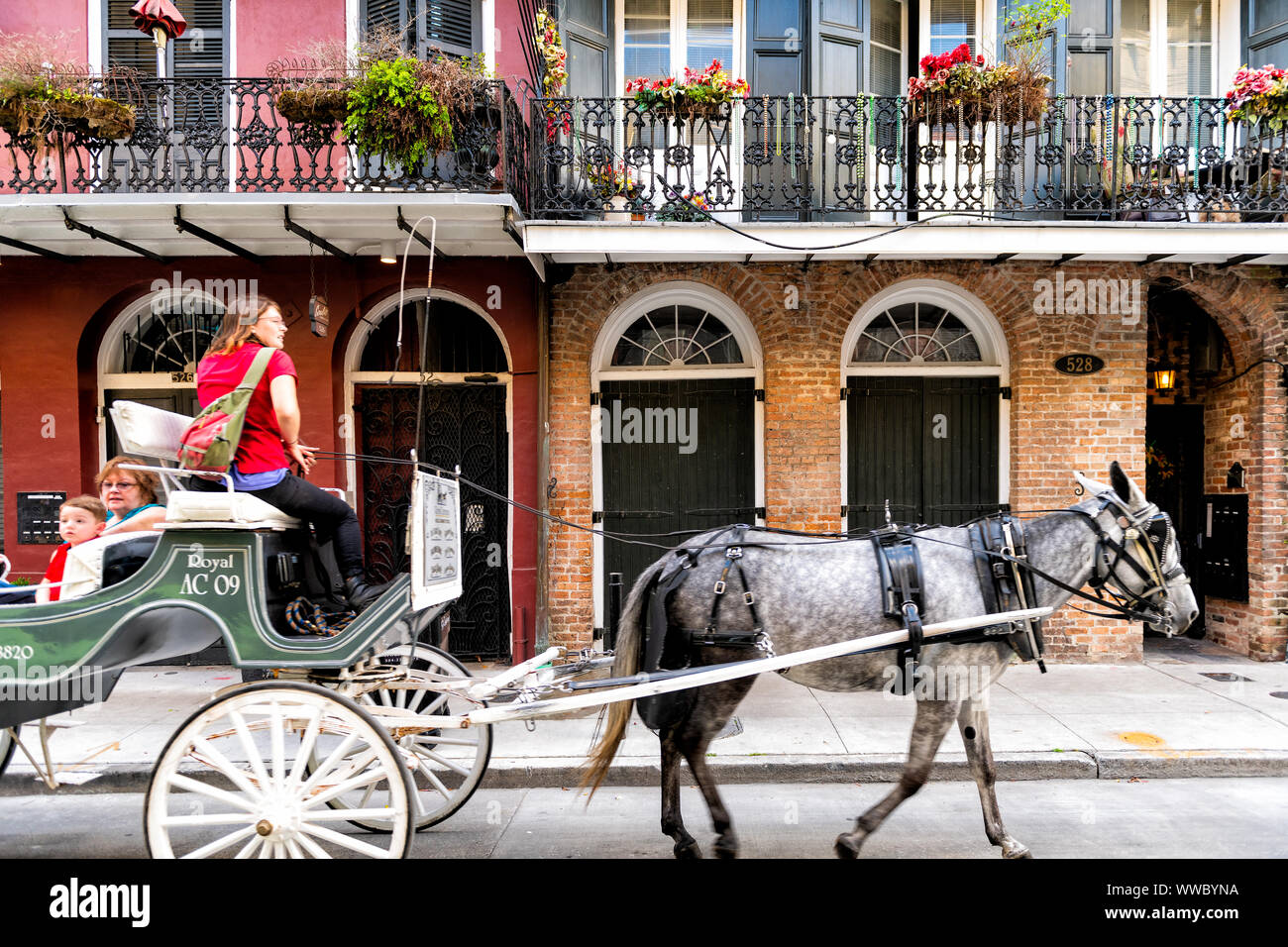 Horse and carriage ride new orleans hi-res stock photography and images ...