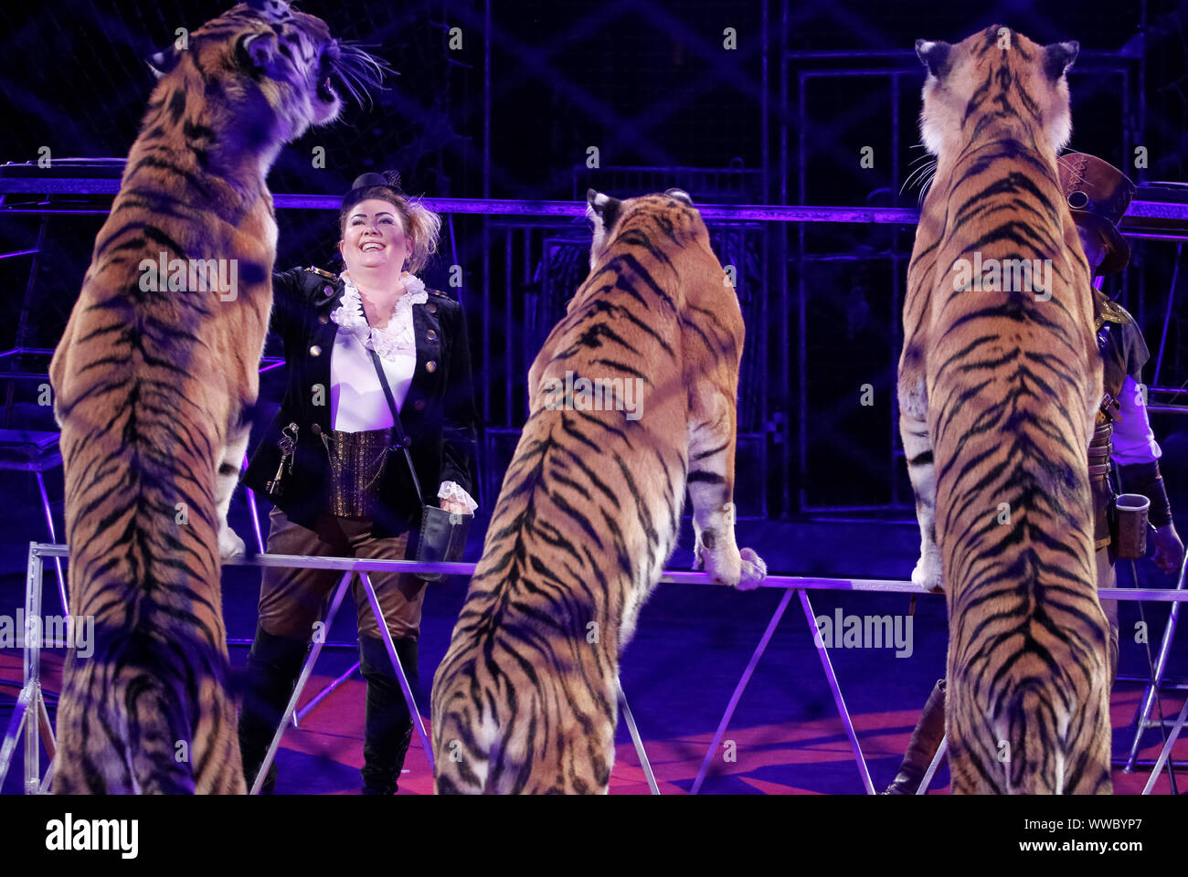 Kiev, Ukraine. 14th Sep, 2019. Artists perform with tigers during the ...