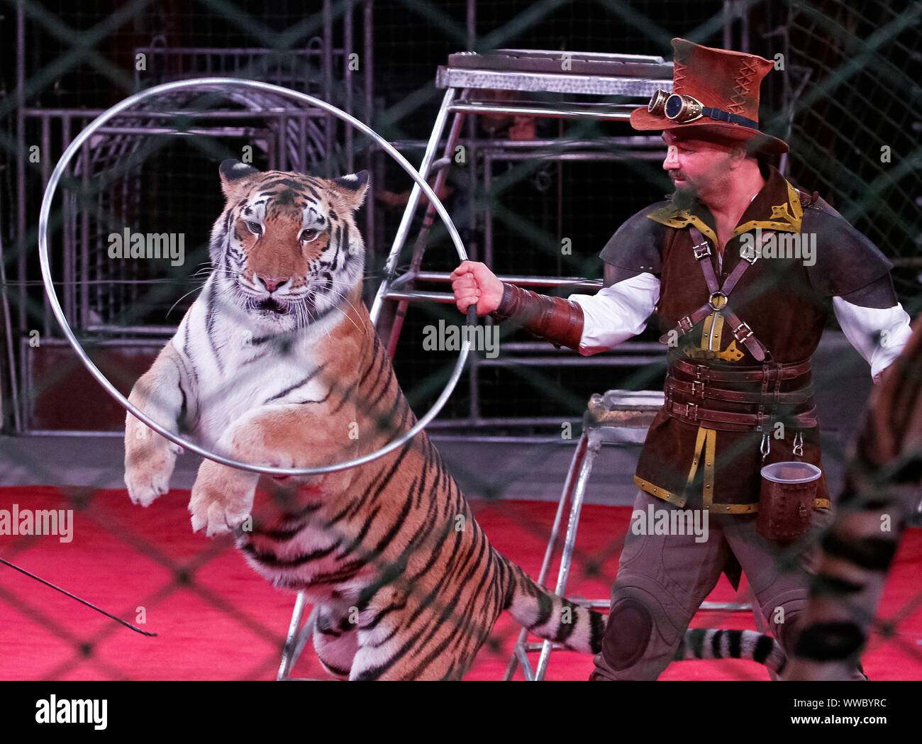 Fantasy tigers hi-res stock photography and images - Alamy